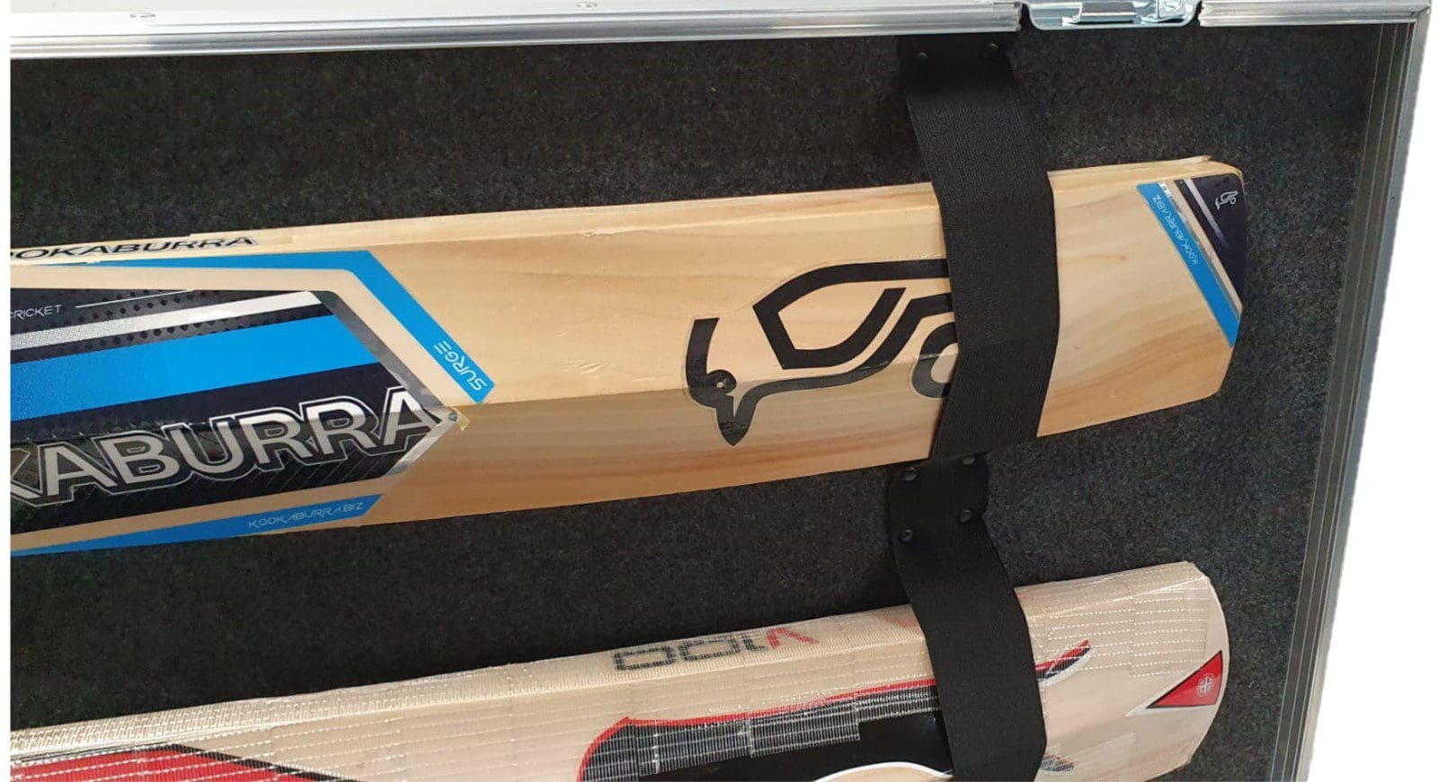 Touring Cricket Coffin - Trifibre Cricket Flight Case, Travel Case